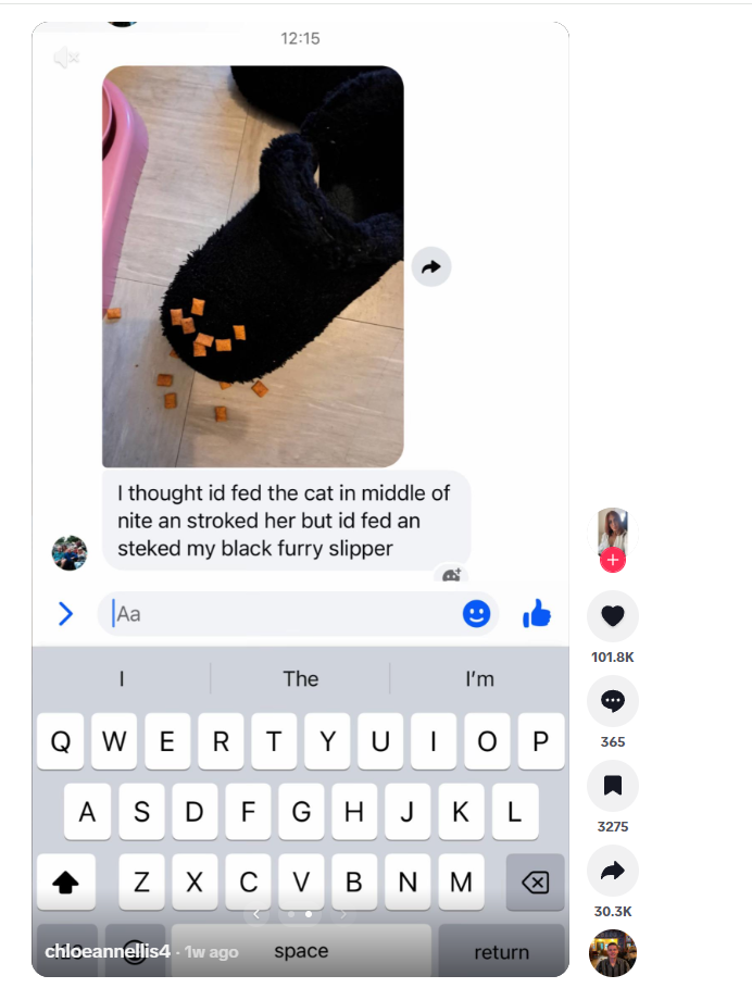 Grandma’s Midnight Mix Up With a Slipper Has TikTok in Stitches ...