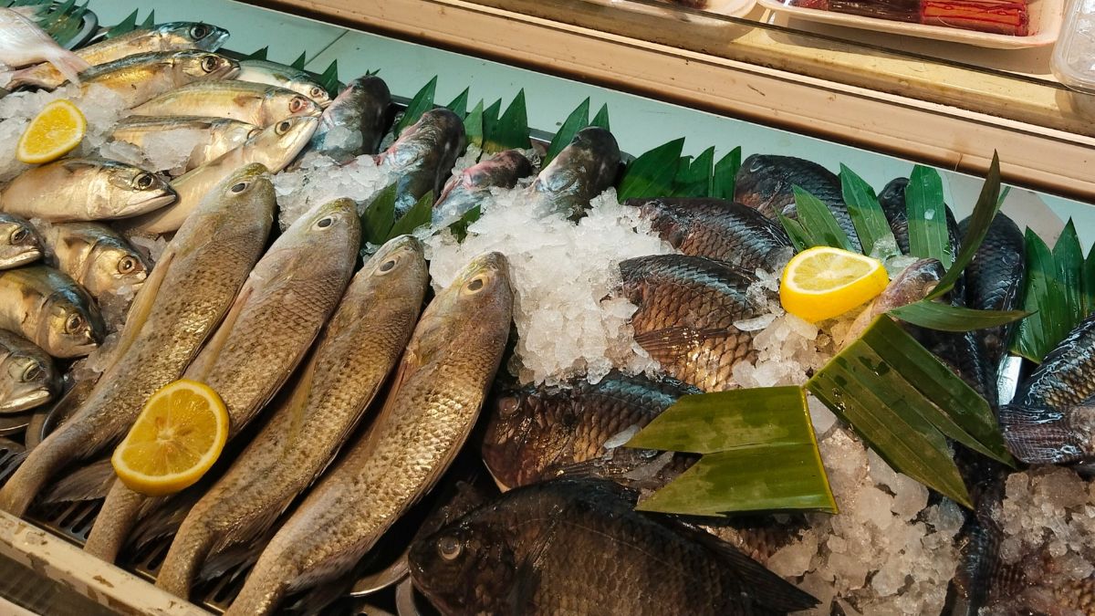 5 Foods Cardiologists Recommend for Lower Cholesterol - Dallas Single ...