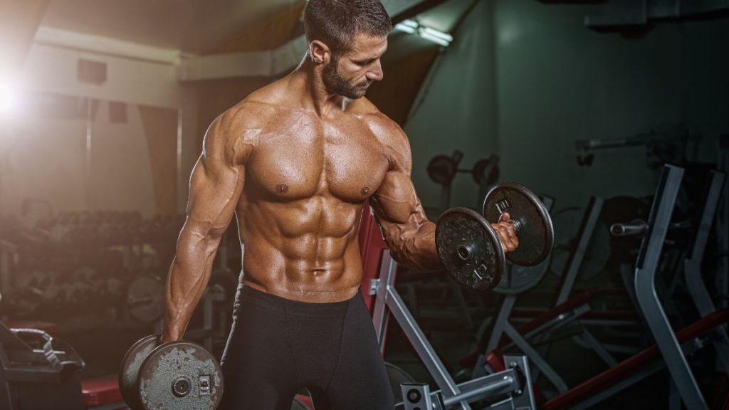 Hormonal Chaos and the Dark Side of T-Maxxing - the Most Viral Gym ...