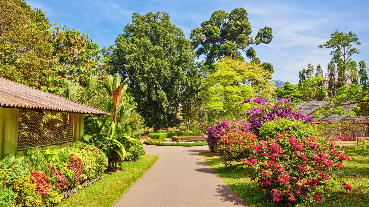 The Most Beautiful Botanical Gardens in Asia - Dallas Single (Mom) Parents