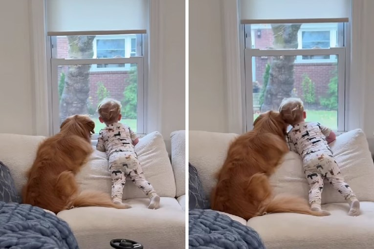 A Rainy Day Moment Between a Boy and His Dog - Dallas Single (Mom) Parents